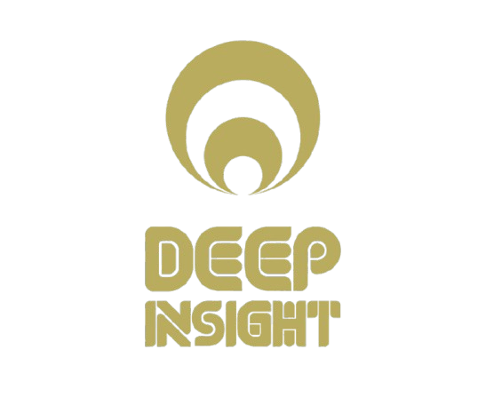 DEEP INSIGHT